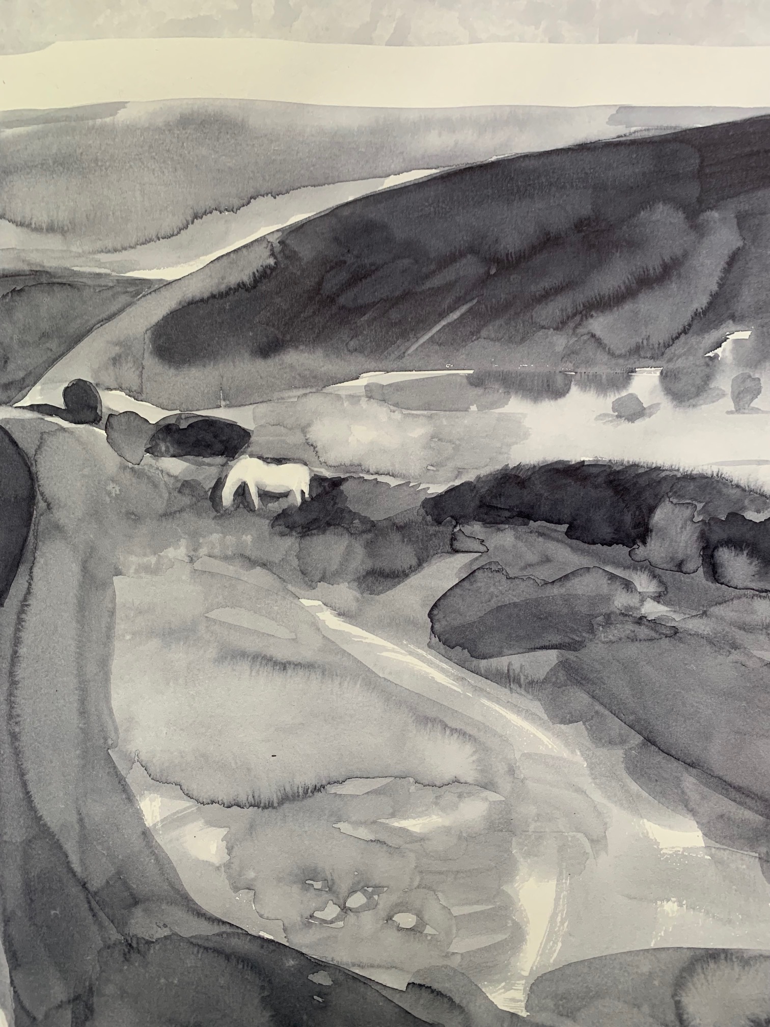 Ink Drawings – Adrienne Craddock